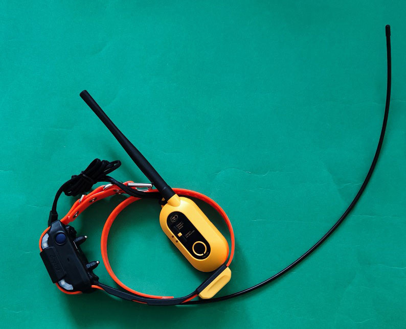 pologar > Dogtra Pathfinder 2 z GPS dla dużych ras psów